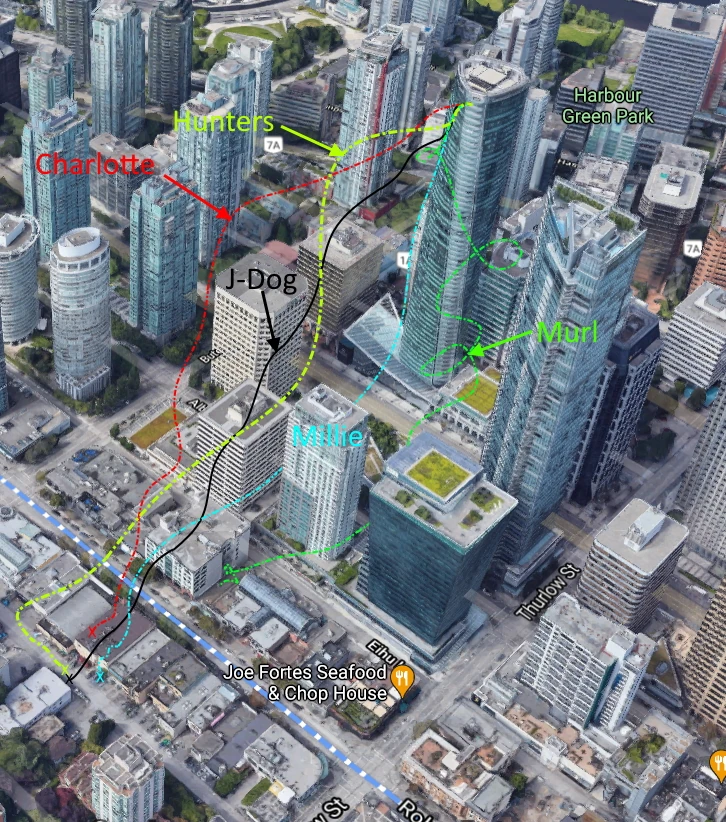 Chapter 77 | Space Junk Wiki | Fandom