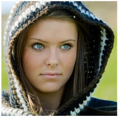 Soviet WWII Lisolette | Space Junk Wiki | Fandom