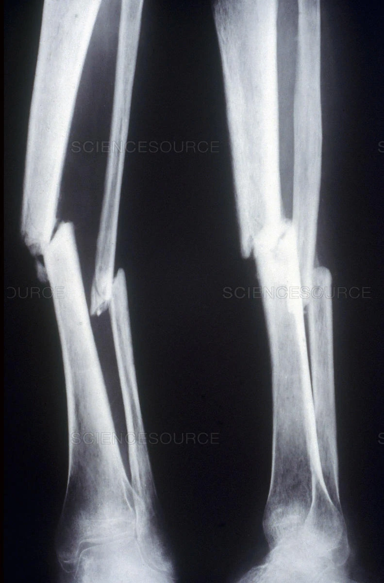 Chapter 24 | Space Junk Wiki | Fandom