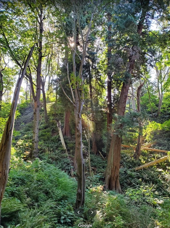 Chapter 92 | Space Junk Wiki | Fandom