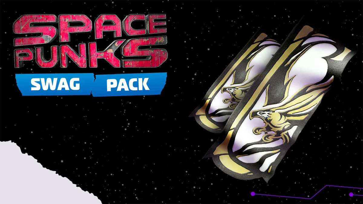 Founders Swag Pack | Space Punks Wiki | Fandom