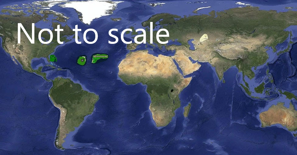 Earth | Space Sailors Wiki | Fandom