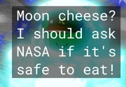 Cheese | Space Sailors Wiki | Fandom