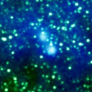 DB01-42 | Space Wiki | Fandom