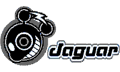 Jaguar | Space Channel 5 Wiki | Fandom