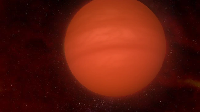 Danam | SpacEE War Roleplay Wiki | Fandom