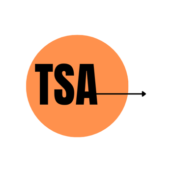 User Space Agencies/Teodoro Space Agency (TSA) | Spaceflight Simulator ...