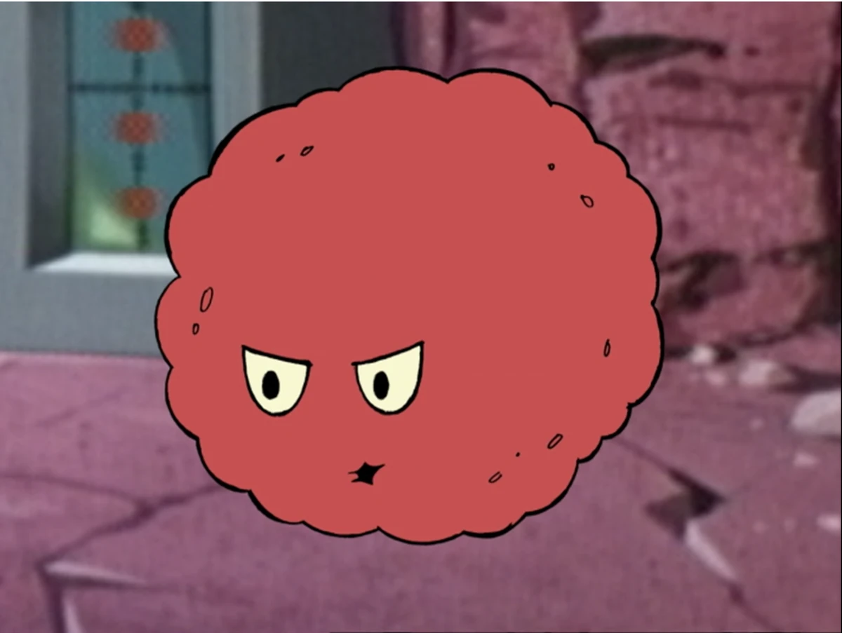 Meatwad | Spaceghost Wiki | Fandom