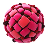 Bon Bon | Spacetoon Wiki | Fandom