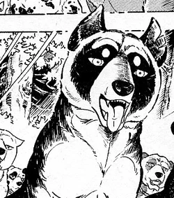 Uzuki | Spanish Ginga Wiki | Fandom