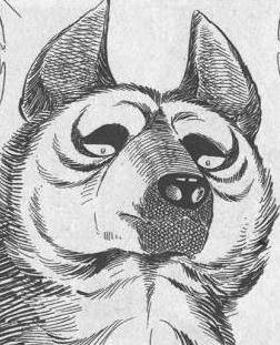 Reima | Spanish Ginga Wiki | Fandom