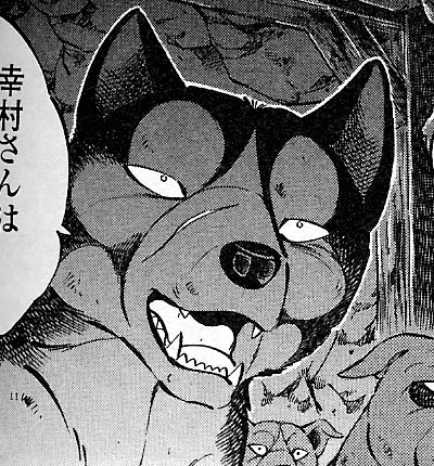 Kazuma | Spanish Ginga Wiki | Fandom