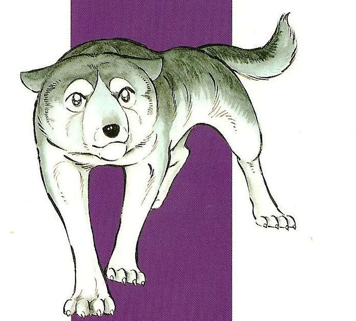 Zero | Spanish Ginga Wiki | Fandom