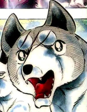 Gin | Spanish Ginga Wiki | Fandom