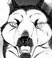 Kiev | Spanish Ginga Wiki | Fandom