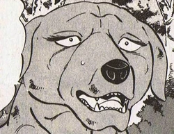 Lucy | Spanish Ginga Wiki | Fandom