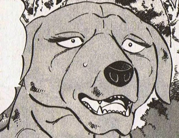 Lucy | Spanish Ginga Wiki | Fandom