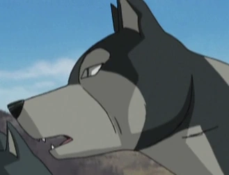 Hanji | Spanish Ginga Wiki | Fandom