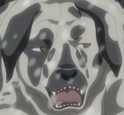 Harunosuke | Spanish Ginga Wiki | Fandom