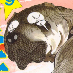 Benizakura | Spanish Ginga Wiki | Fandom