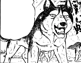 Categoría:Personajes Secundarios | Spanish Ginga Wiki | Fandom