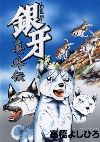 Ginga Nagareboshi Gin: Shin Gaiden | Spanish Ginga Wiki | Fandom