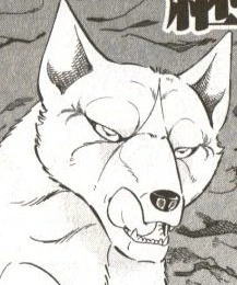 Matheus | Spanish Ginga Wiki | Fandom