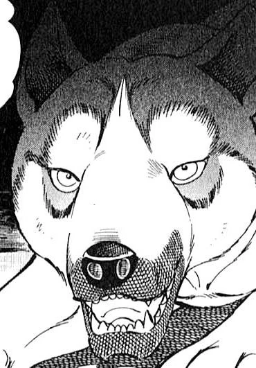 Matsu | Spanish Ginga Wiki | Fandom