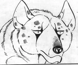 Bobcat | Spanish Ginga Wiki | Fandom
