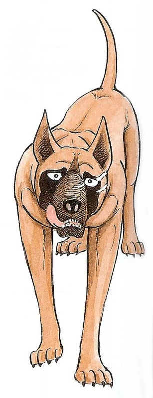 Ken | Spanish Ginga Wiki | Fandom