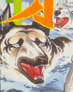 John | Spanish Ginga Wiki | Fandom