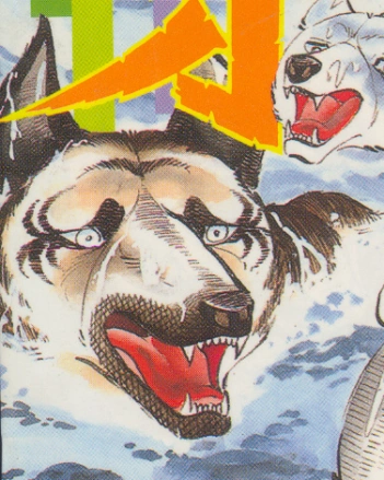 John | Spanish Ginga Wiki | Fandom