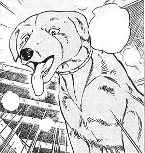 Lenny | Spanish Ginga Wiki | Fandom