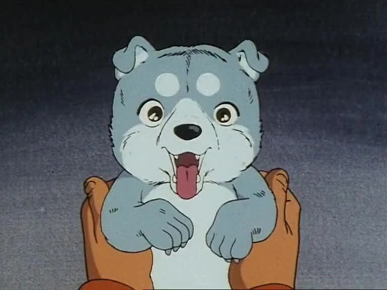 Episodios de Ginga Nagareboshi Gin | Spanish Ginga Wiki | Fandom
