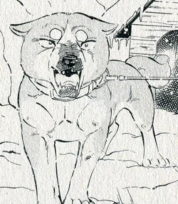 Chiko | Spanish Ginga Wiki | Fandom