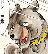 Don | Spanish Ginga Wiki | Fandom