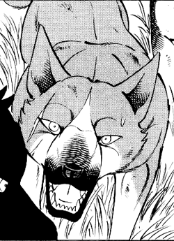 Lev | Spanish Ginga Wiki | Fandom