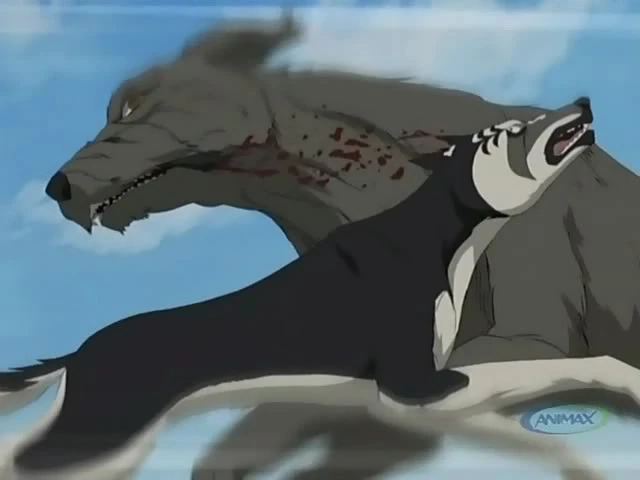 Jerome | Spanish Ginga Wiki | Fandom