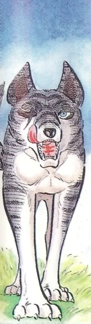 Kurotora | Spanish Ginga Wiki | Fandom