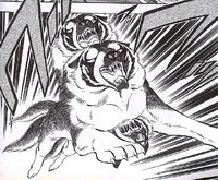 Raiga | Spanish Ginga Wiki | Fandom