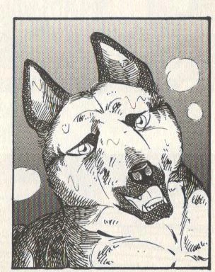 German | Spanish Ginga Wiki | Fandom