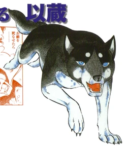 Izou | Spanish Ginga Wiki | Fandom