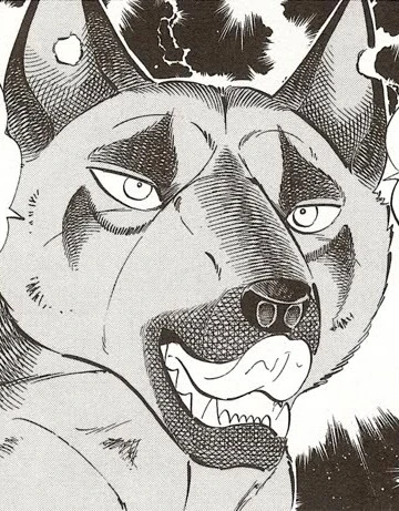 Bozlef | Spanish Ginga Wiki | Fandom