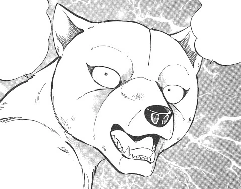 Bon | Spanish Ginga Wiki | Fandom