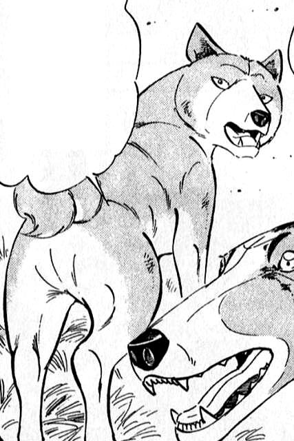 Saburo Spanish Ginga Wiki Fandom