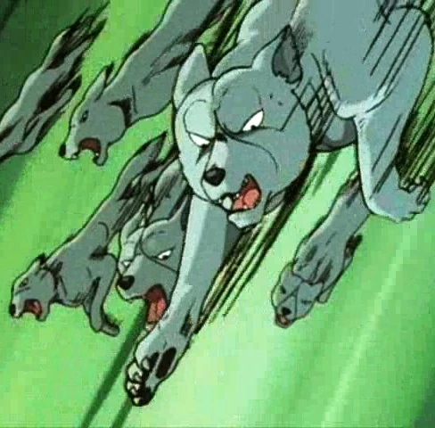 Clan Iga | Spanish Ginga Wiki | Fandom