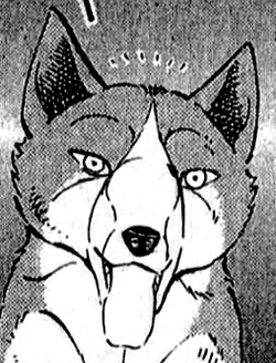 Igor | Spanish Ginga Wiki | Fandom