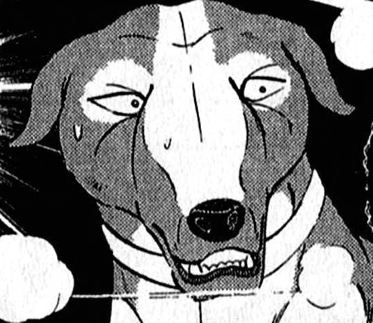 Kite | Spanish Ginga Wiki | Fandom