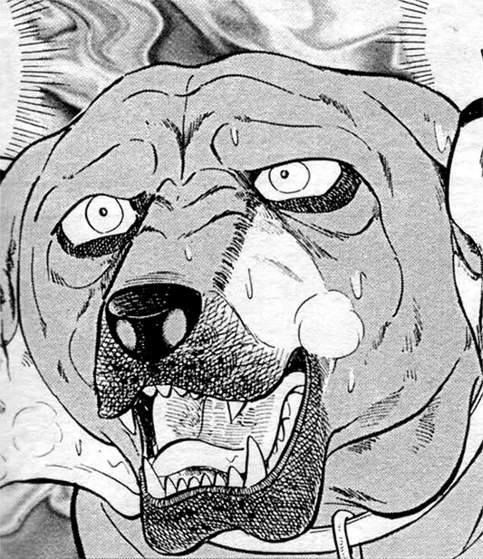 Banken | Spanish Ginga Wiki | Fandom