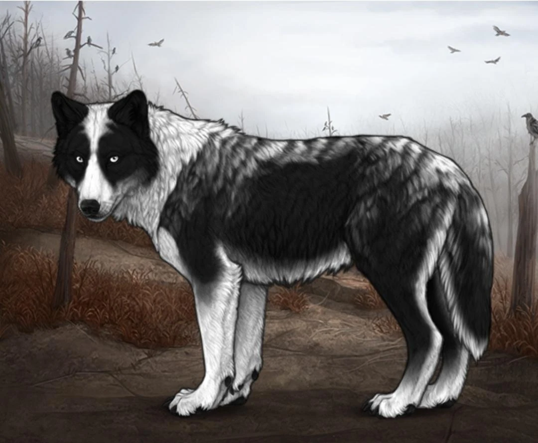 Nyx 2 | Sparkling Creek Valley Wiki | Fandom